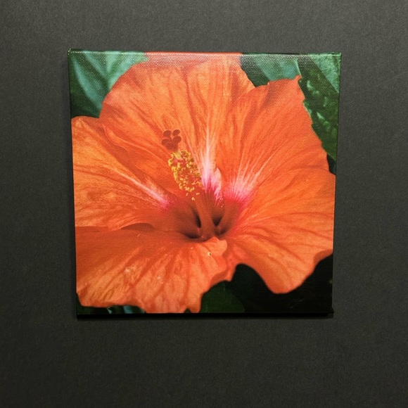 unbranded | Art | 8x8 Hibiscus Flower | Poshmark